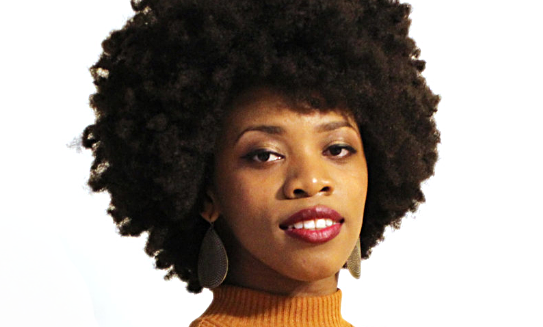 Design Continuum Fund | AIGA Washington, DC